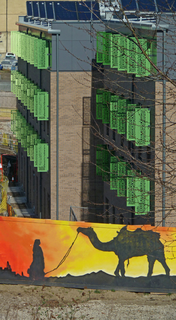 camel Object Detection Model by Nada Abdullah