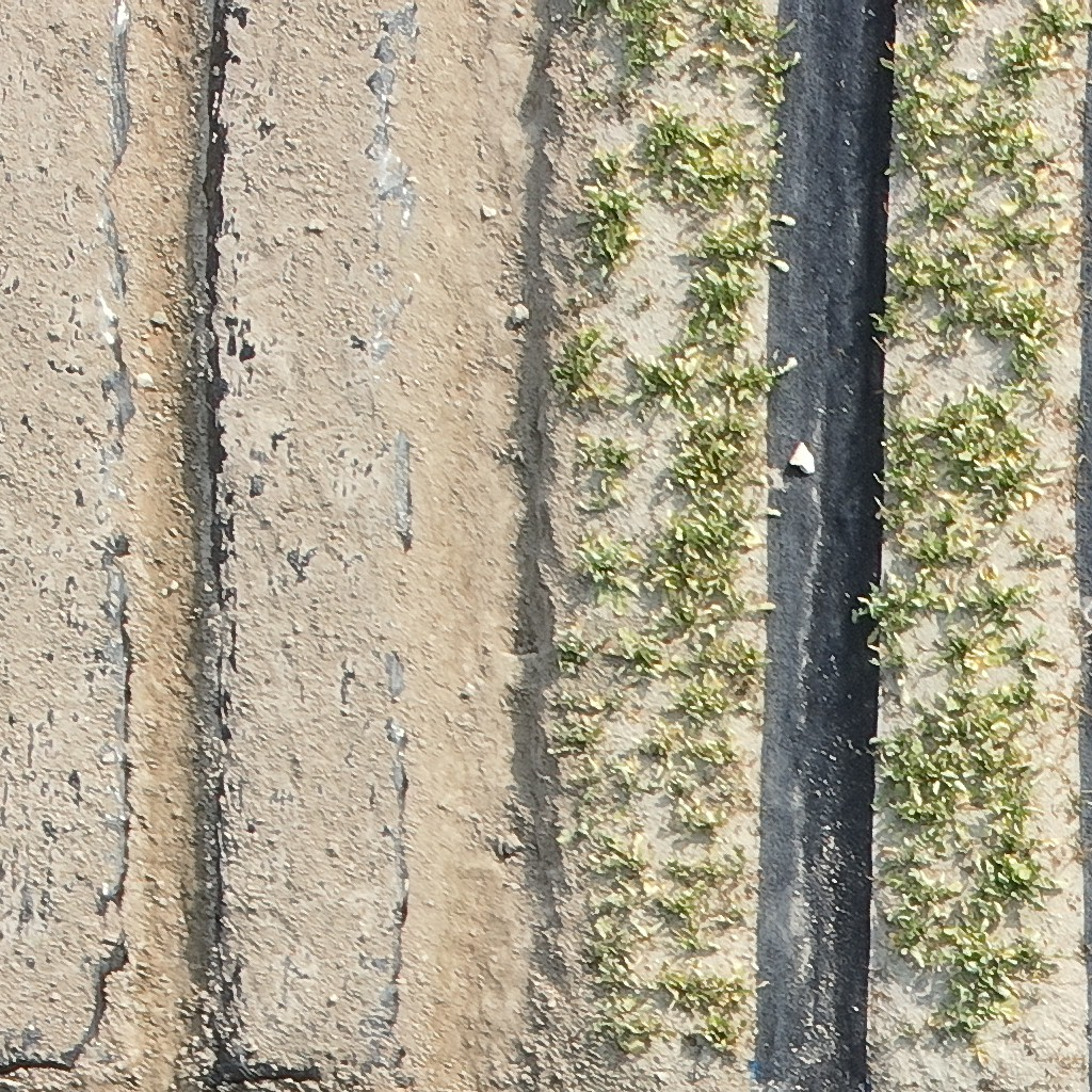 field_crop_20221110 Object Detection Model (v2, 2022-11-29 10:42am) by ...