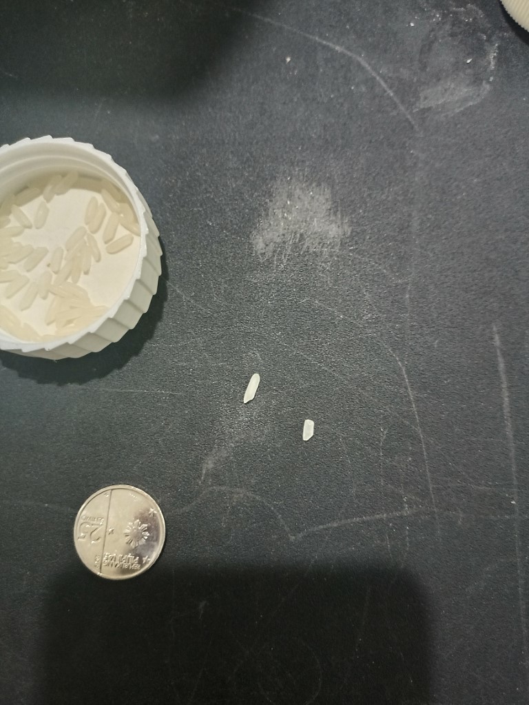 Rice Detection Object Detection Dataset By Calvs