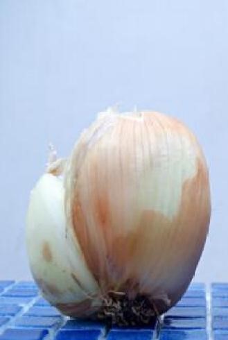 Onion Object Detection Dataset by urad