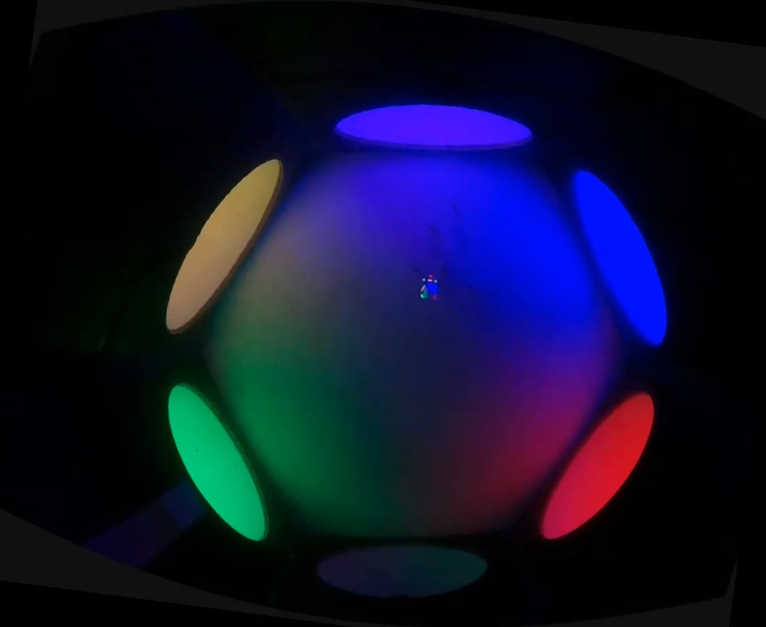 Fish Tubeways - Roboflow Universe