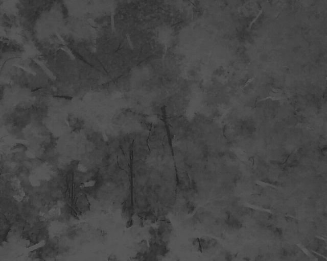 Koala Thermal Data Object Detection Dataset By Koala Detection