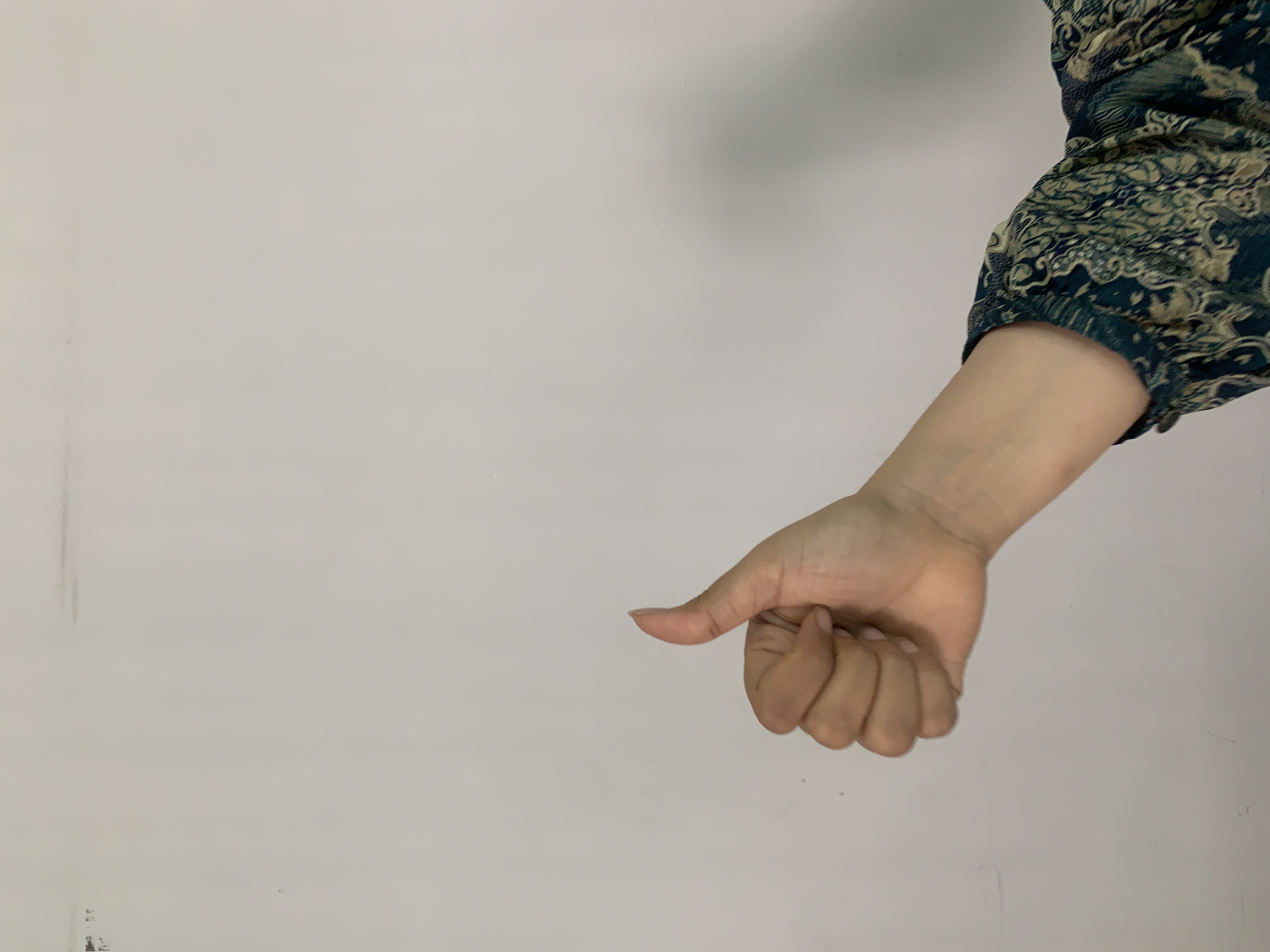 Chinese Sign Language Object Detection Dataset V5 2024 10 20 4 46pm