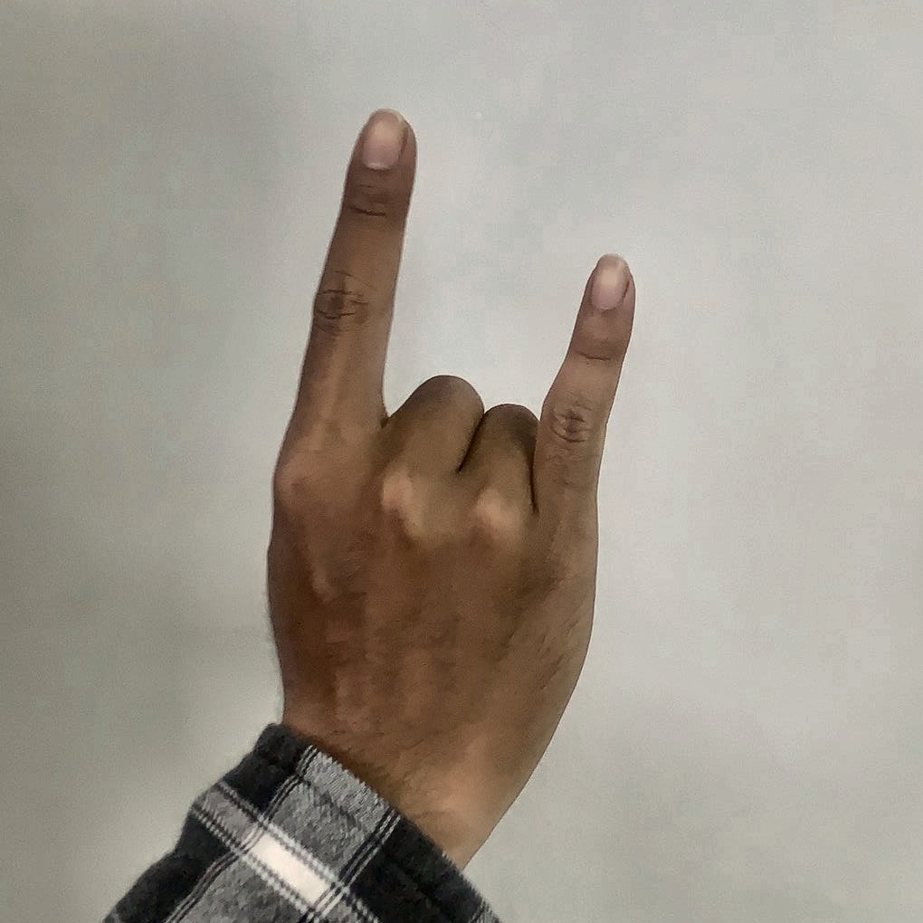 Chinese Sign Language Segmentation Instance Segmentation Dataset and Pre-Trained Model by CSL