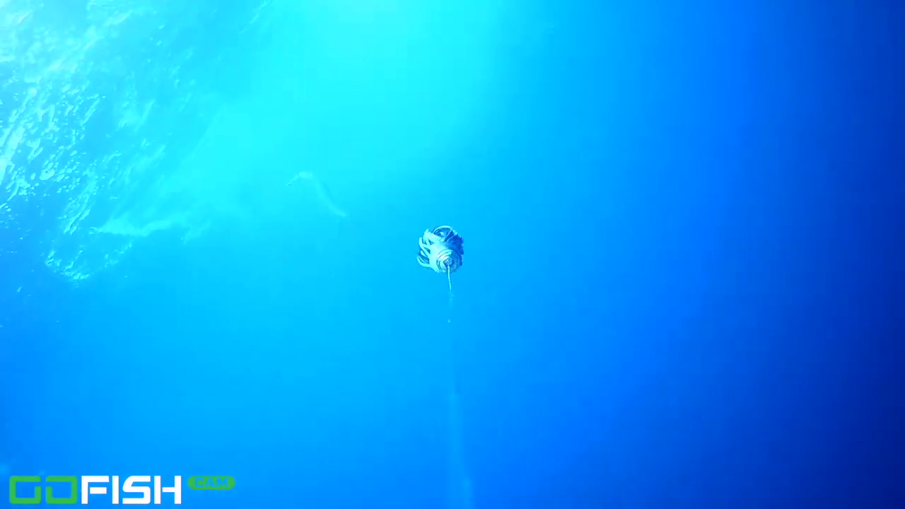 Fish_detection_ver3 Object Detection Dataset by Abdul Basit