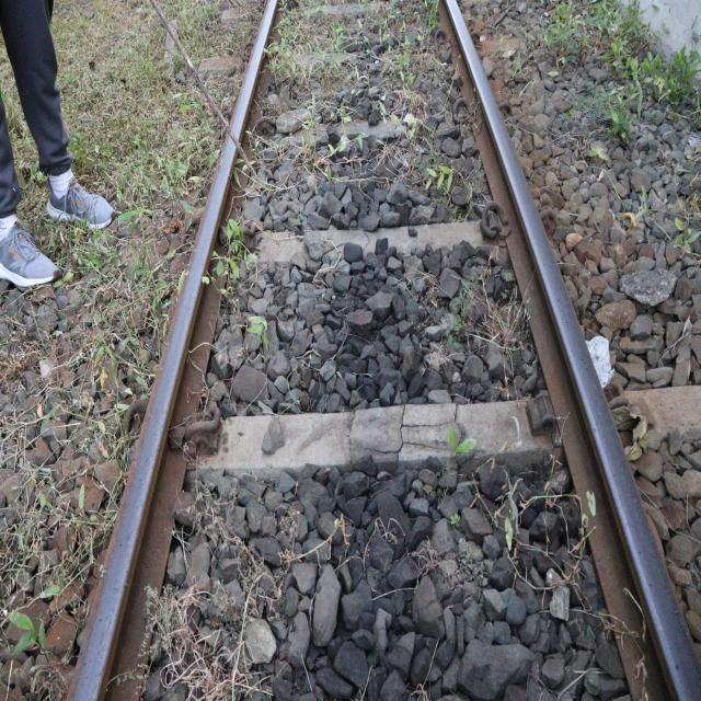 PNR Split 1 Object Detection Dataset by wuts the THESIS