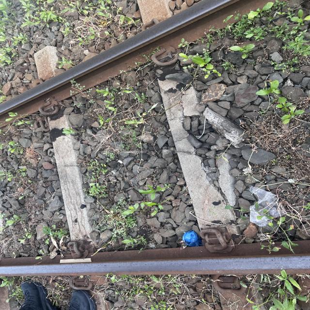 Pnr Split 2 Object Detection Dataset By Wuts The Thesis