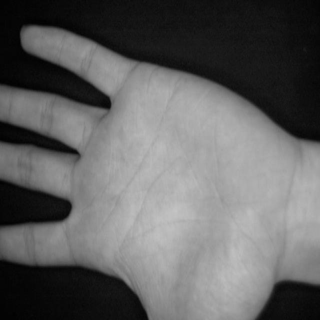 iris Object Detection Dataset by sathiya