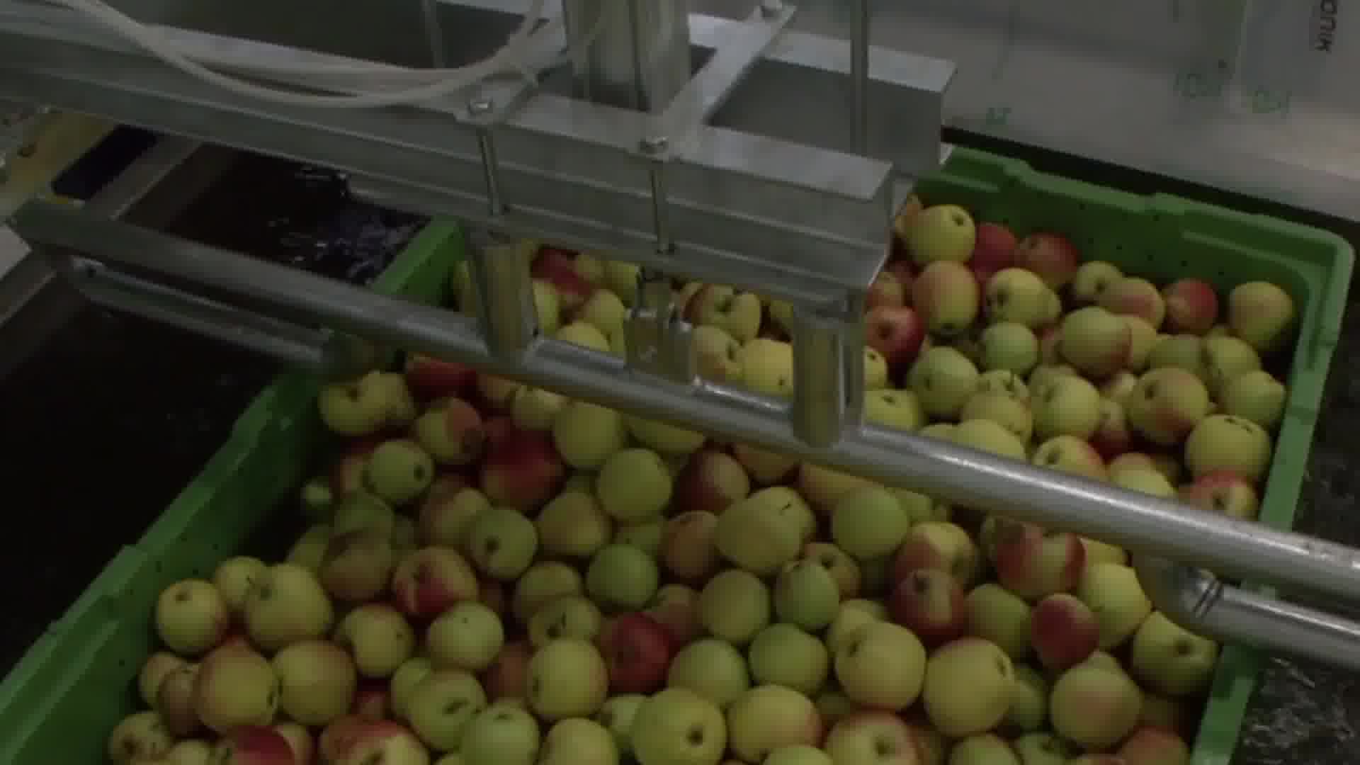 Apple Sorting Object Detection Dataset by Breathless One