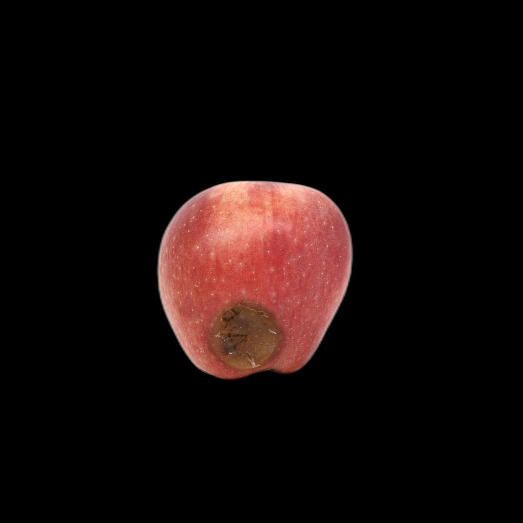 apple damages Object Detection Model by Breathless One