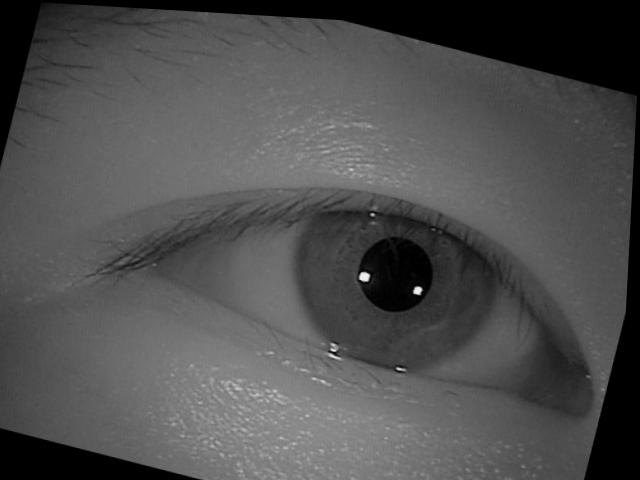 Pupil Object Detection Dataset By White