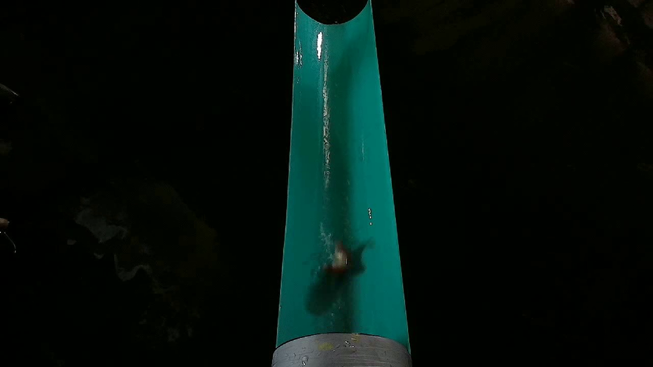 fish Object Detection Dataset by Algae