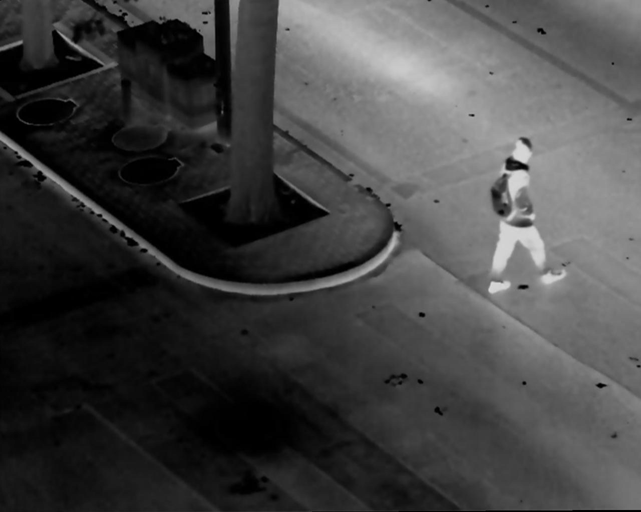 Llvip Object Detection Dataset By Hanting