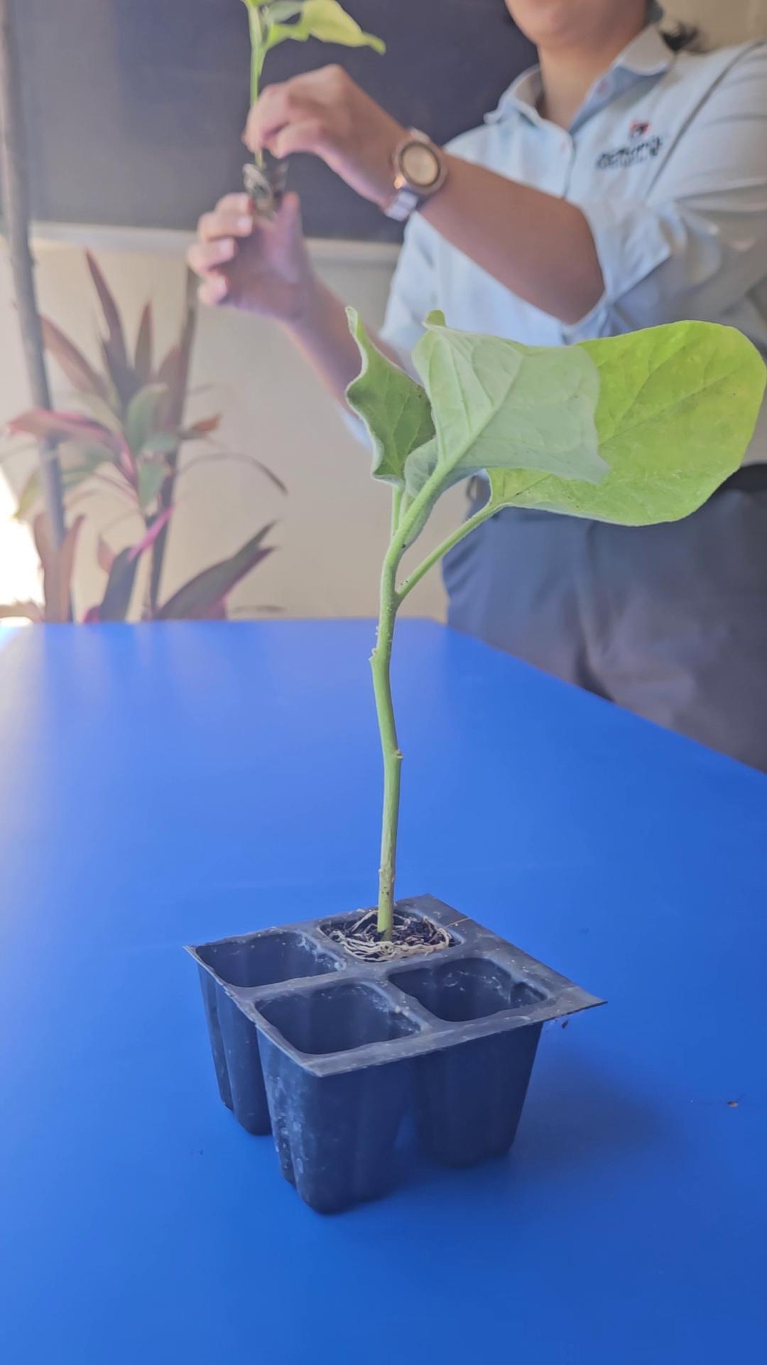 Keypoint Detection 2 Roboflow Universe