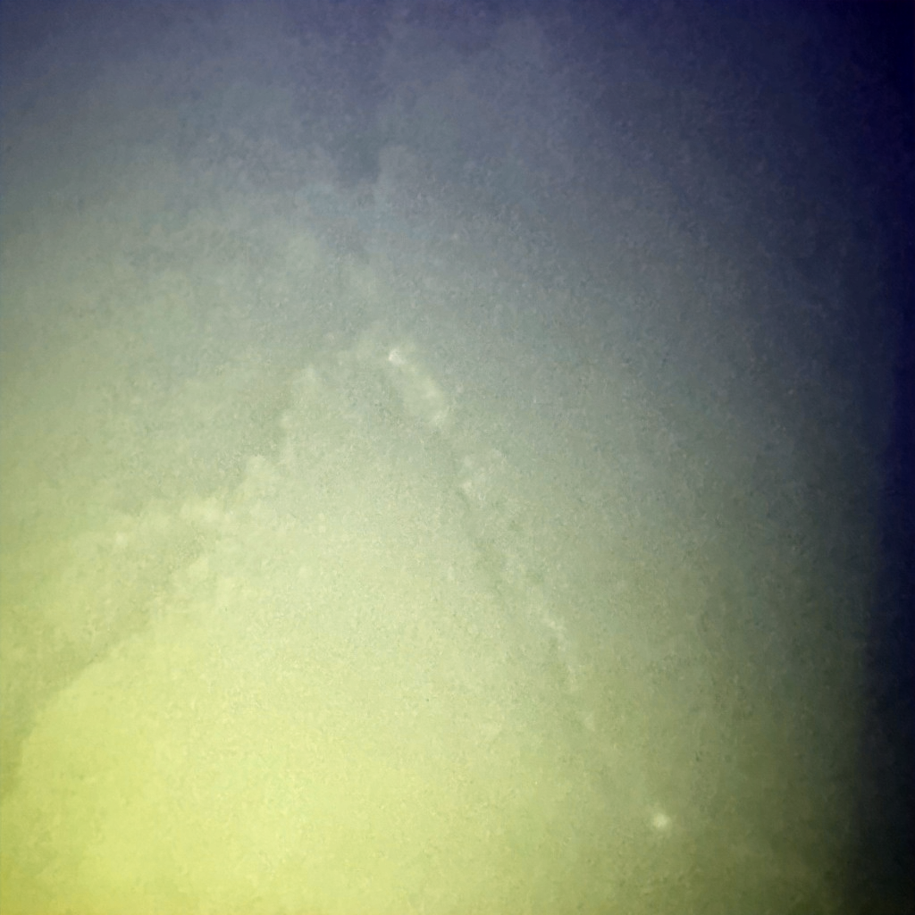 DIFF_YOLO Instance Segmentation Dataset by yolo11uw