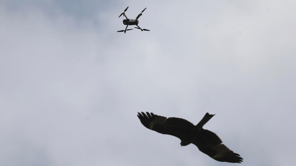 Validation Object Detection Dataset by Convert