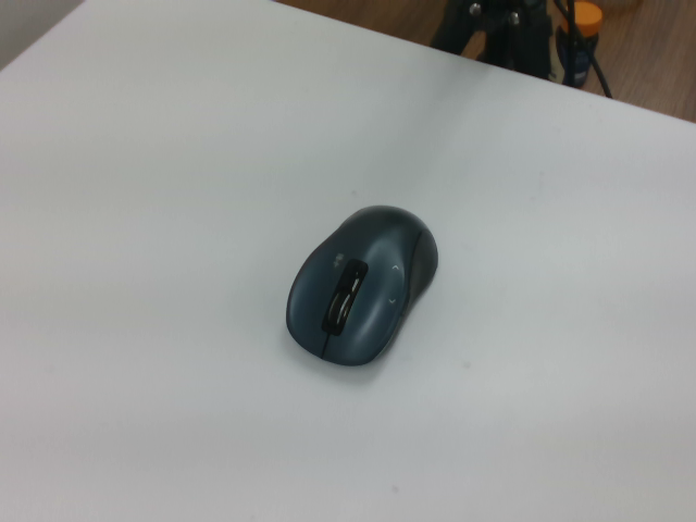 mouse Object Detection Dataset by puang