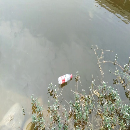 Custom Workflow Object Detection Object Detection Dataset by test