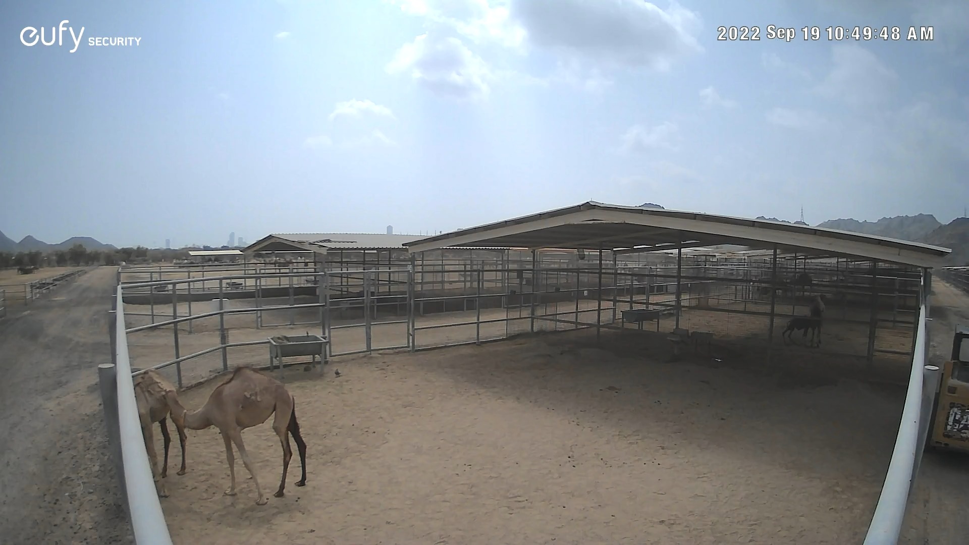 camel9 Instance Segmentation Dataset by FRC