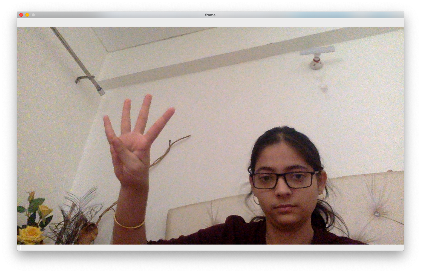 Hand Classification Object Detection Dataset by Apurva Singh
