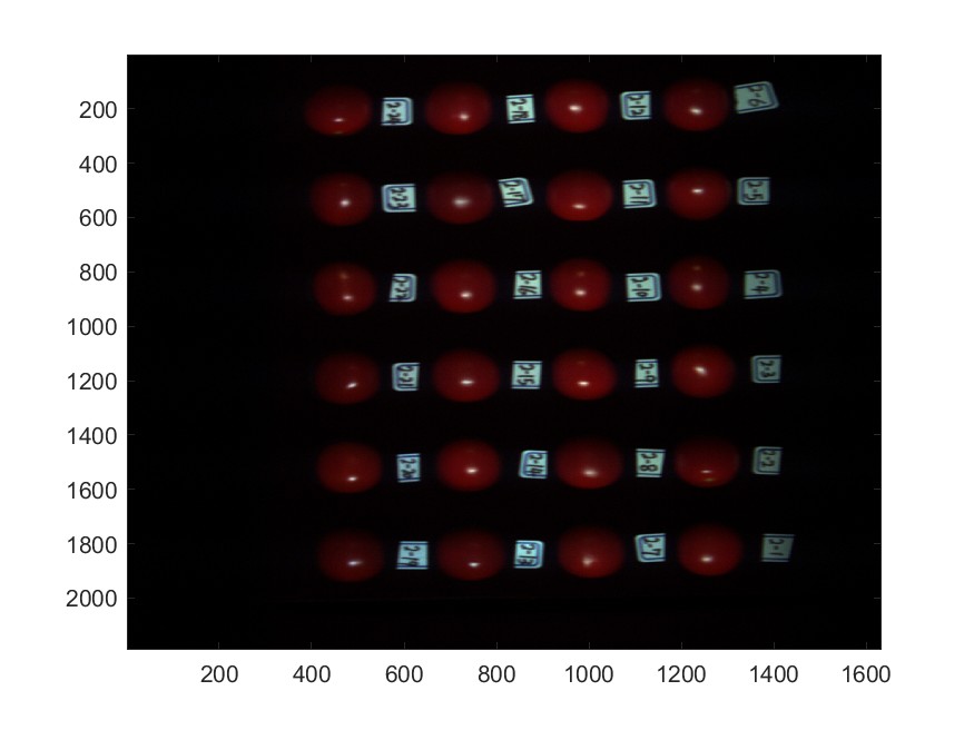 tomato Instance Segmentation Model by new world