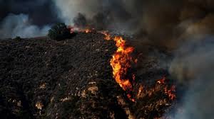 fore-fire-dataset Object Detection Dataset and Pre-Trained Model by ...