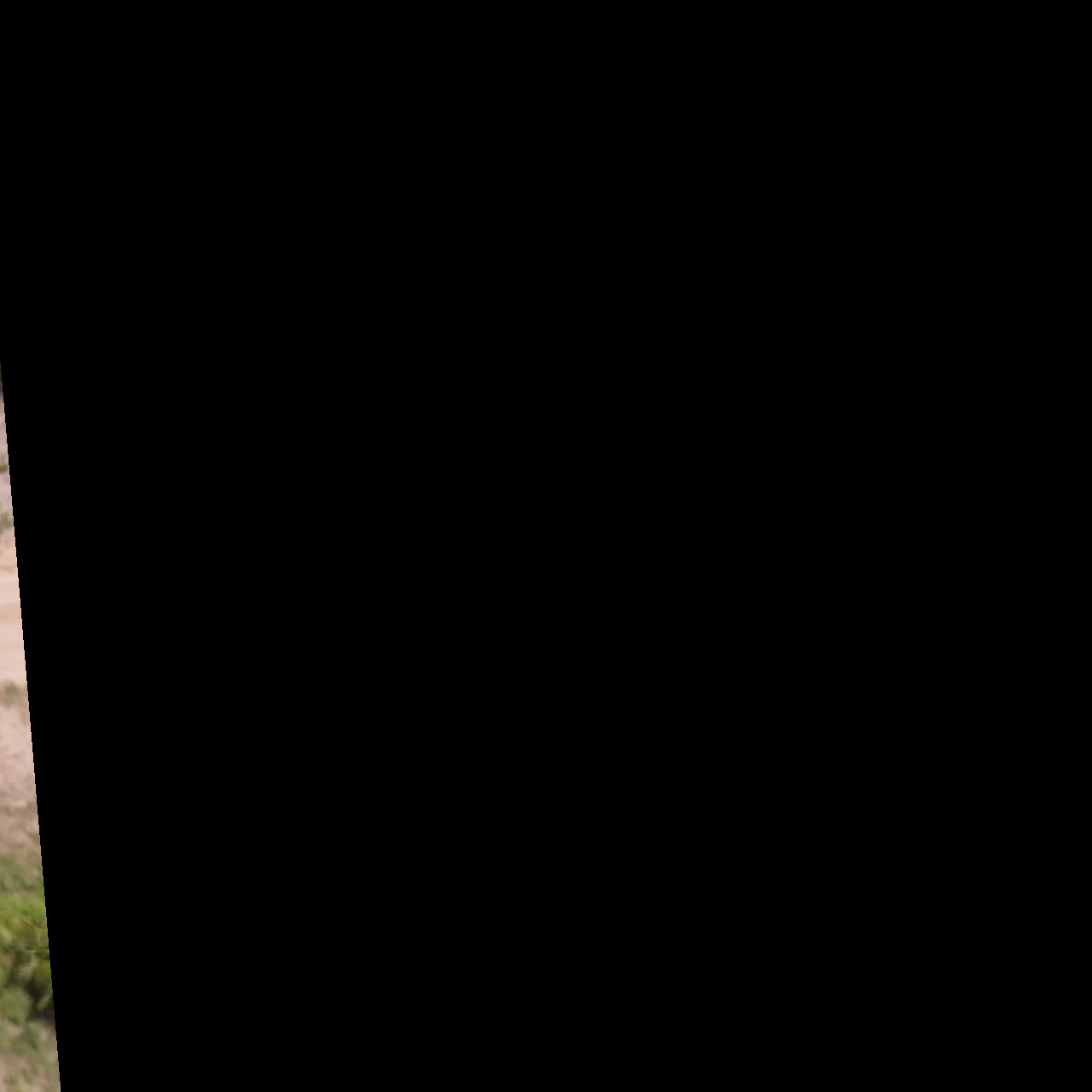 Palm Tree Counting Object Detection Dataset And Pre Trained Model By Project