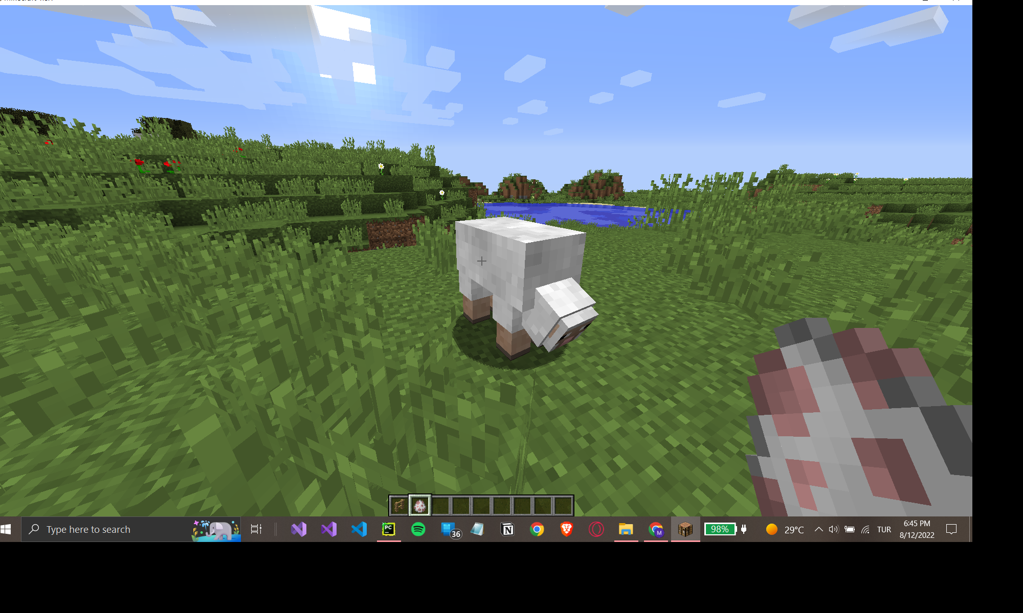 Minecraft Semantic Segmentation Dataset by Argenit