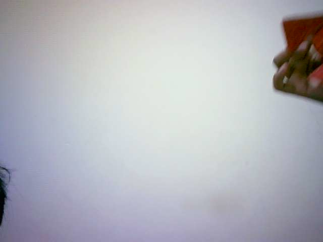 enemy FIn Object Detection Dataset by Cardboard missile