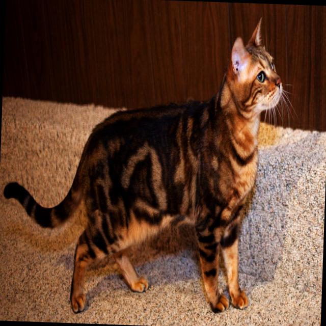 Game piece detection Object Detection Model by BumbleB 3339