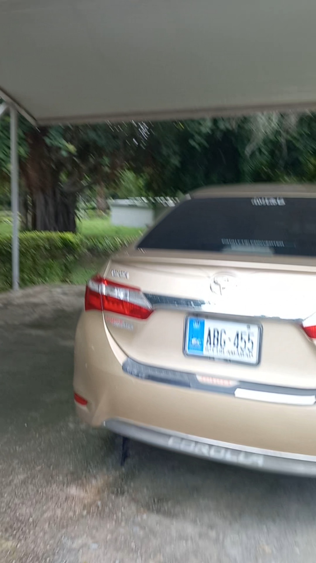 Classification Object Detection Dataset by BootCamp