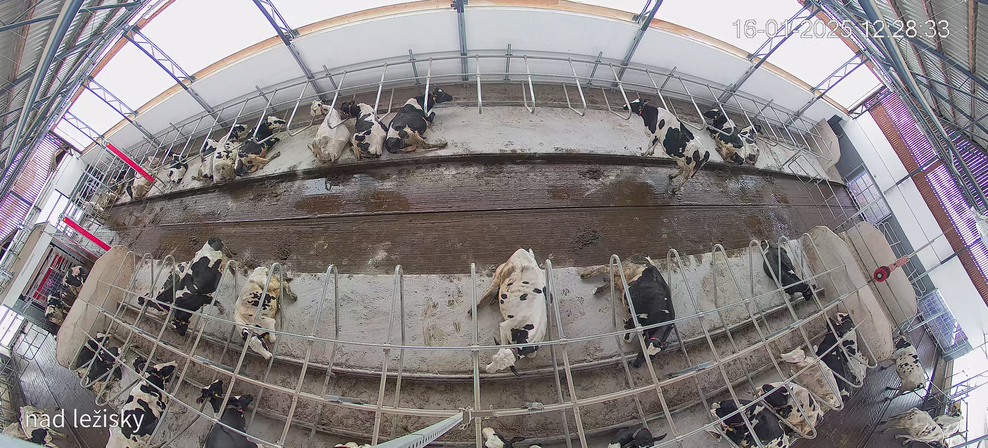dalsi volne pro testy Object Detection Model by cowvision