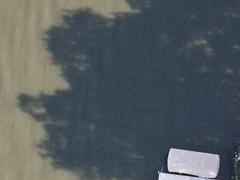 coco test Object Detection Model by Yolo v1