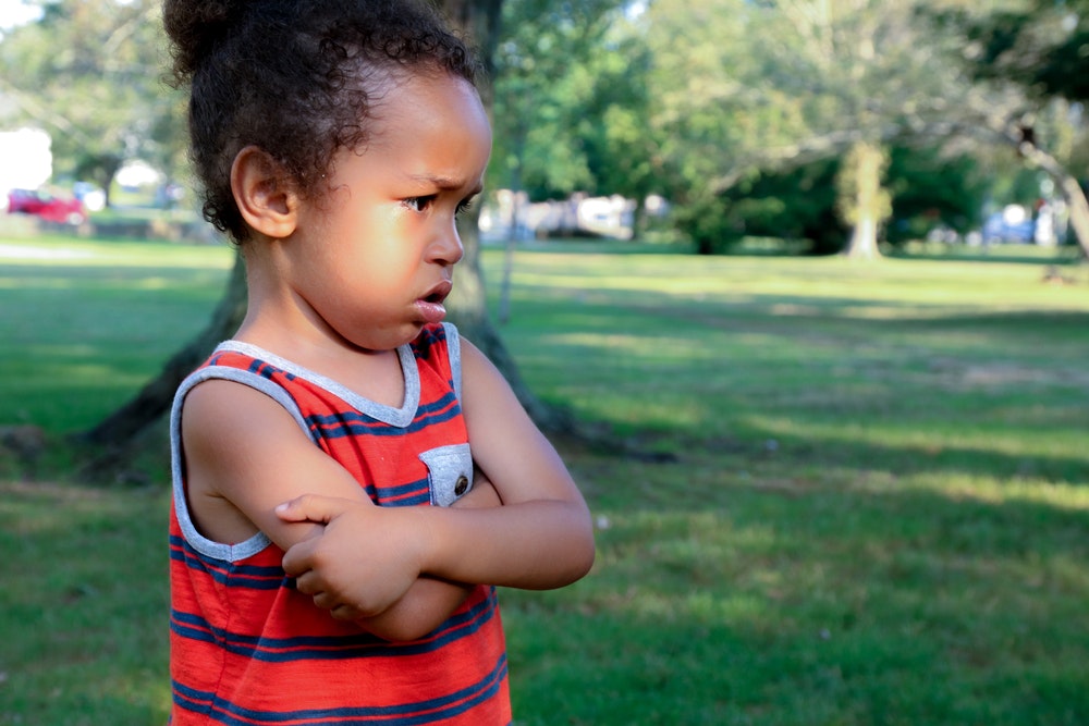 tantrums Object Detection Dataset by deteksitantrumbalita