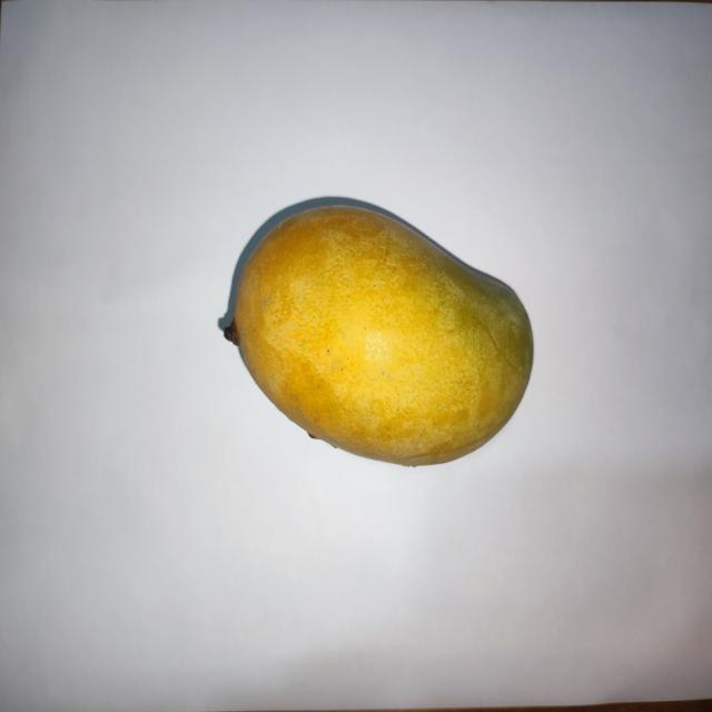 Mango Growth Object Detection Model by project