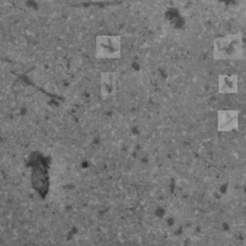 asbestos detection Object Detection Dataset by rlubenow asbestos detection Object Detection Dataset by rlubenow