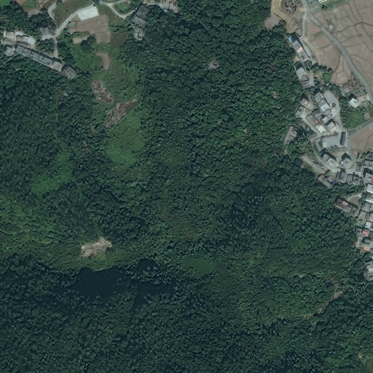 road Object Detection Dataset by SSS Images