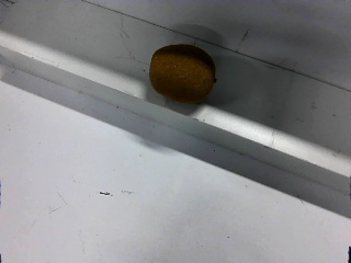 kiwi Object Detection Dataset by yolo