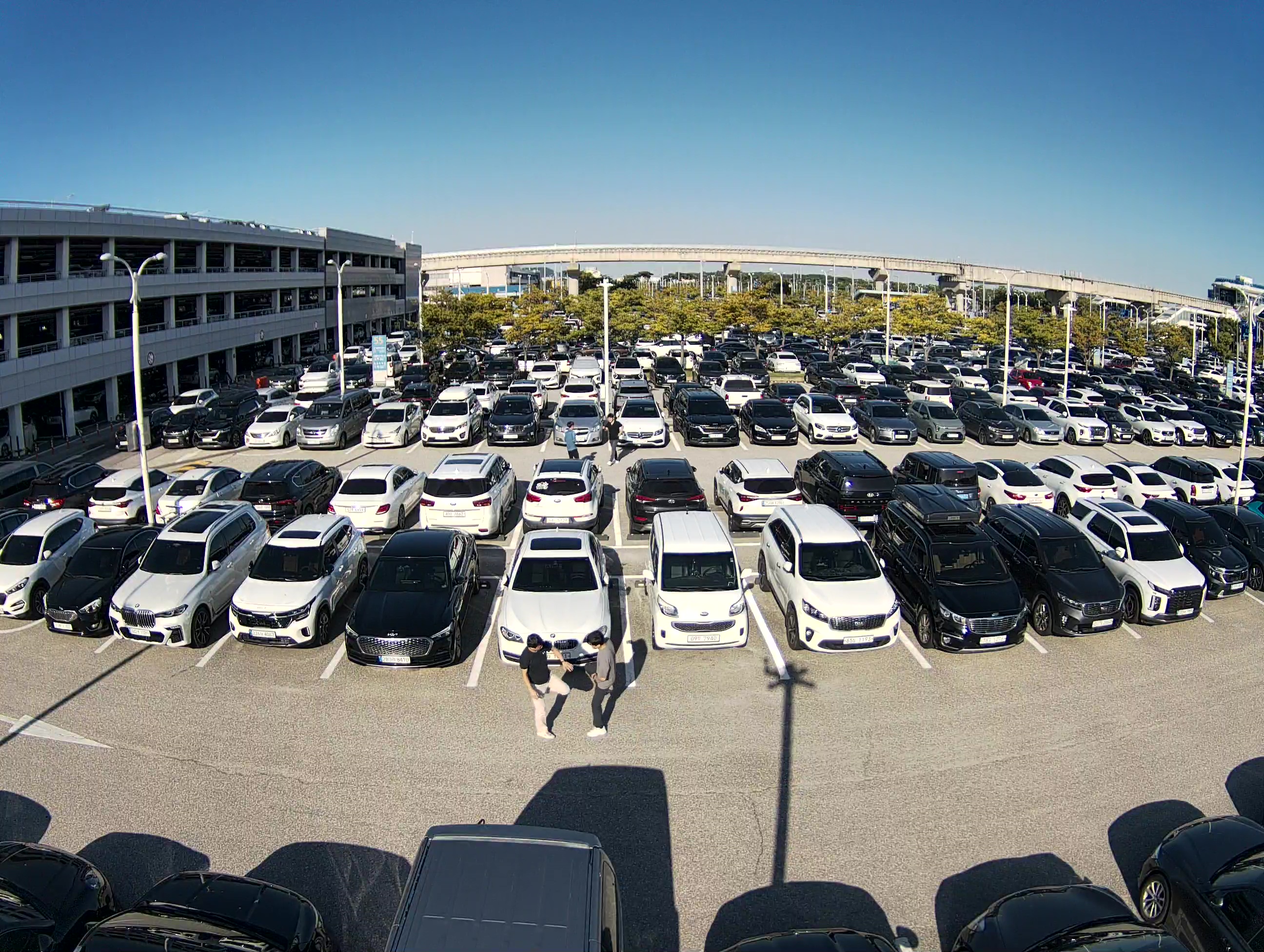 fight label Keypoint Detection Dataset by labeling