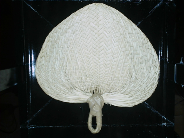 Abaniko-CNN Object Detection Dataset by Jedec