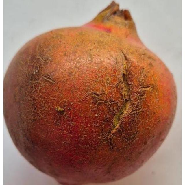 POMEGRANATE MODEL 1 Object Detection Dataset and Pre-Trained Model by vishvkarma machine tools