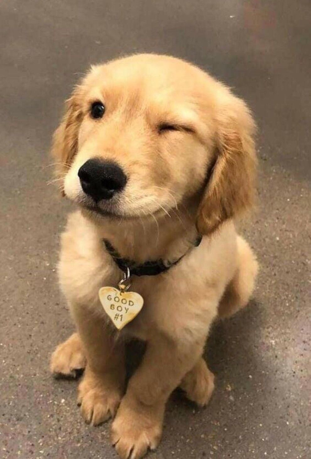 Object Detection-Computer Vision Object Detection Dataset by CV