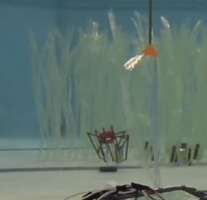 ff Object Detection Dataset by Yuito