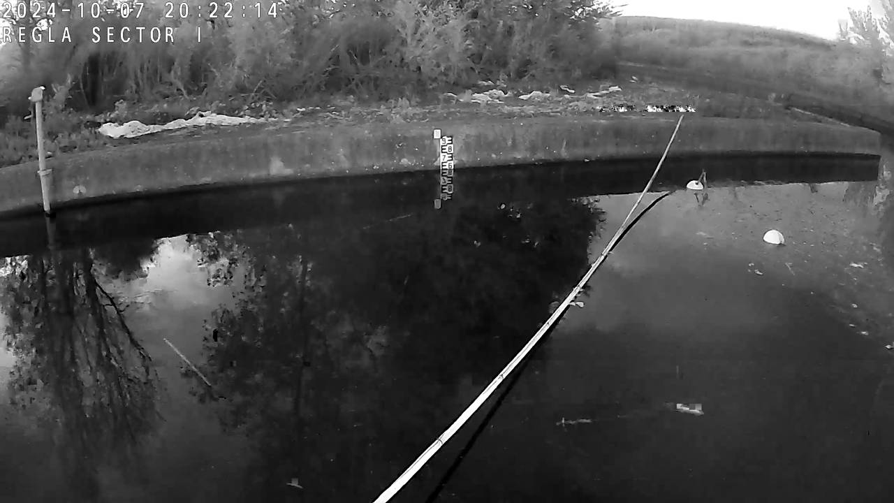 Scale_One Object Detection Model by Project