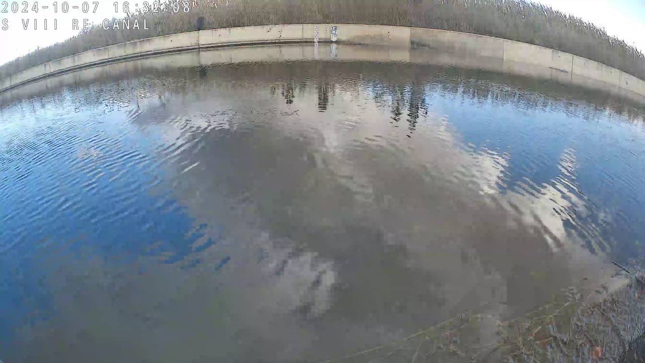 Scale_Three Object Detection Model by Project