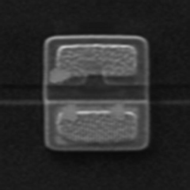 IC Chips defects Instance Segmentation Dataset by Lambert