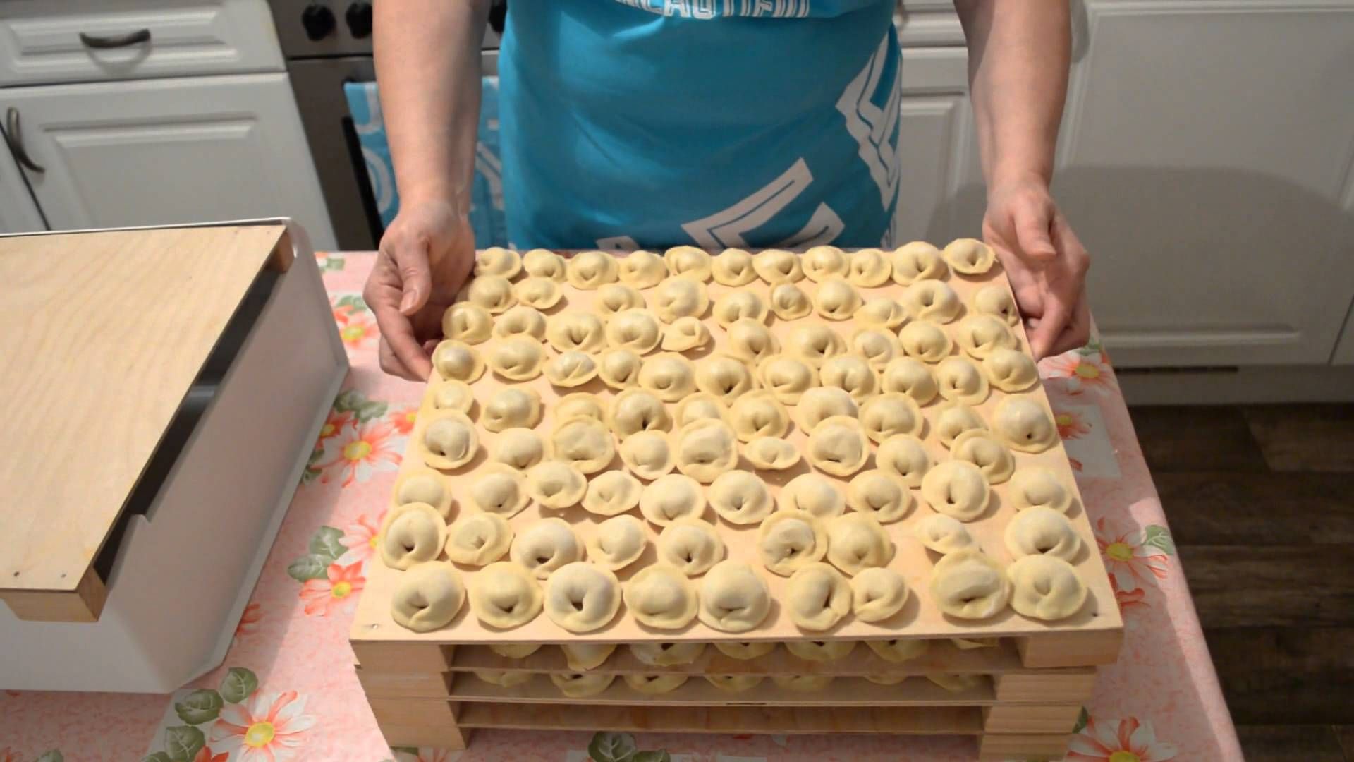 dumplings Object Detection Dataset by project-dxcyr