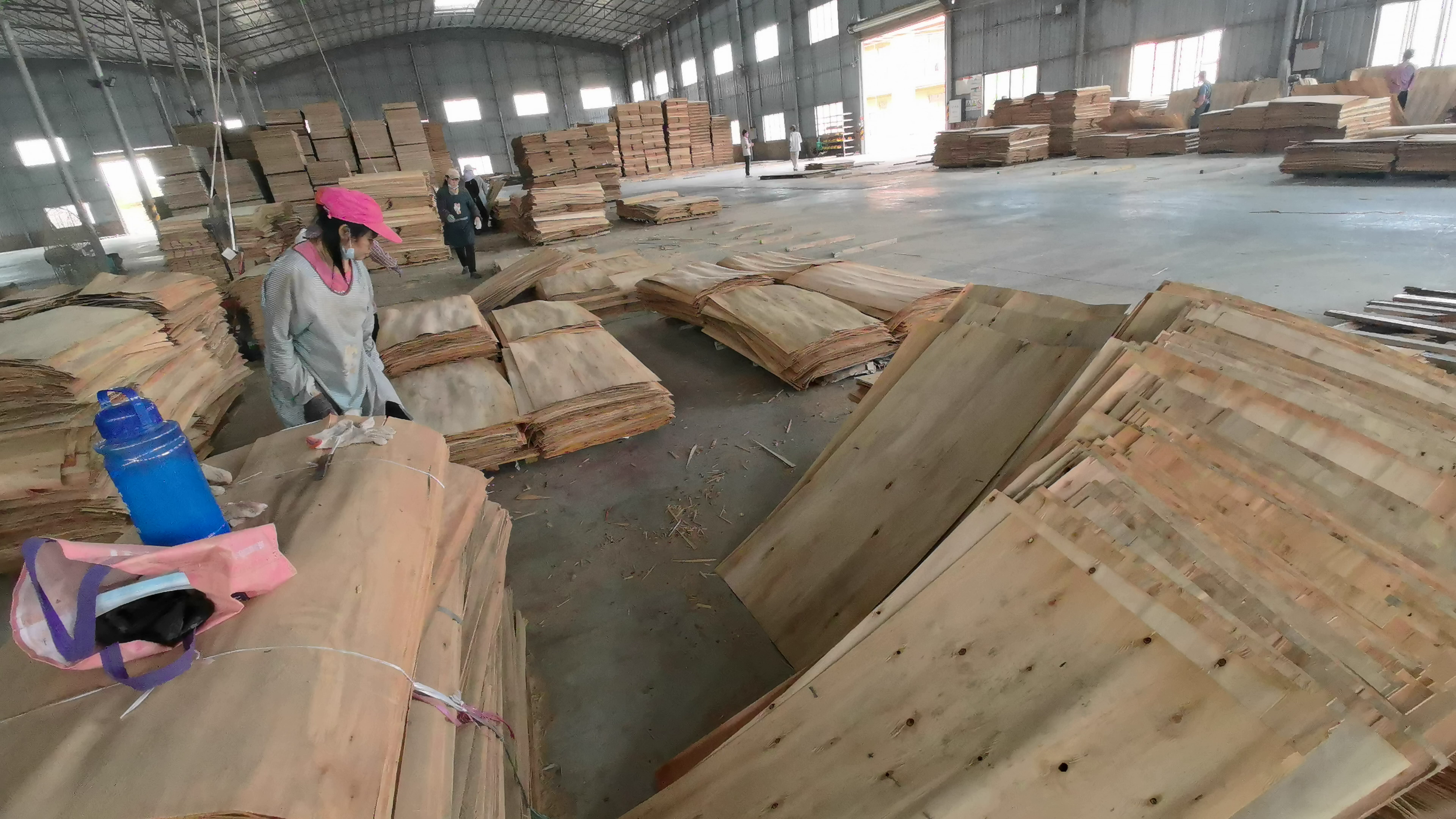 yolo (yolo-eisyq) - Roboflow Universe