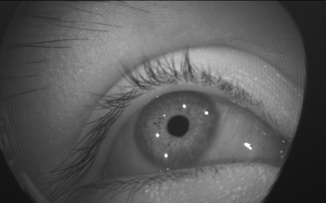 Segmentation OpenEDS Semantic Segmentation Dataset by PFE crns