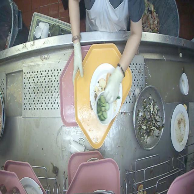 food waste detection Object Detection Model by swimming pool